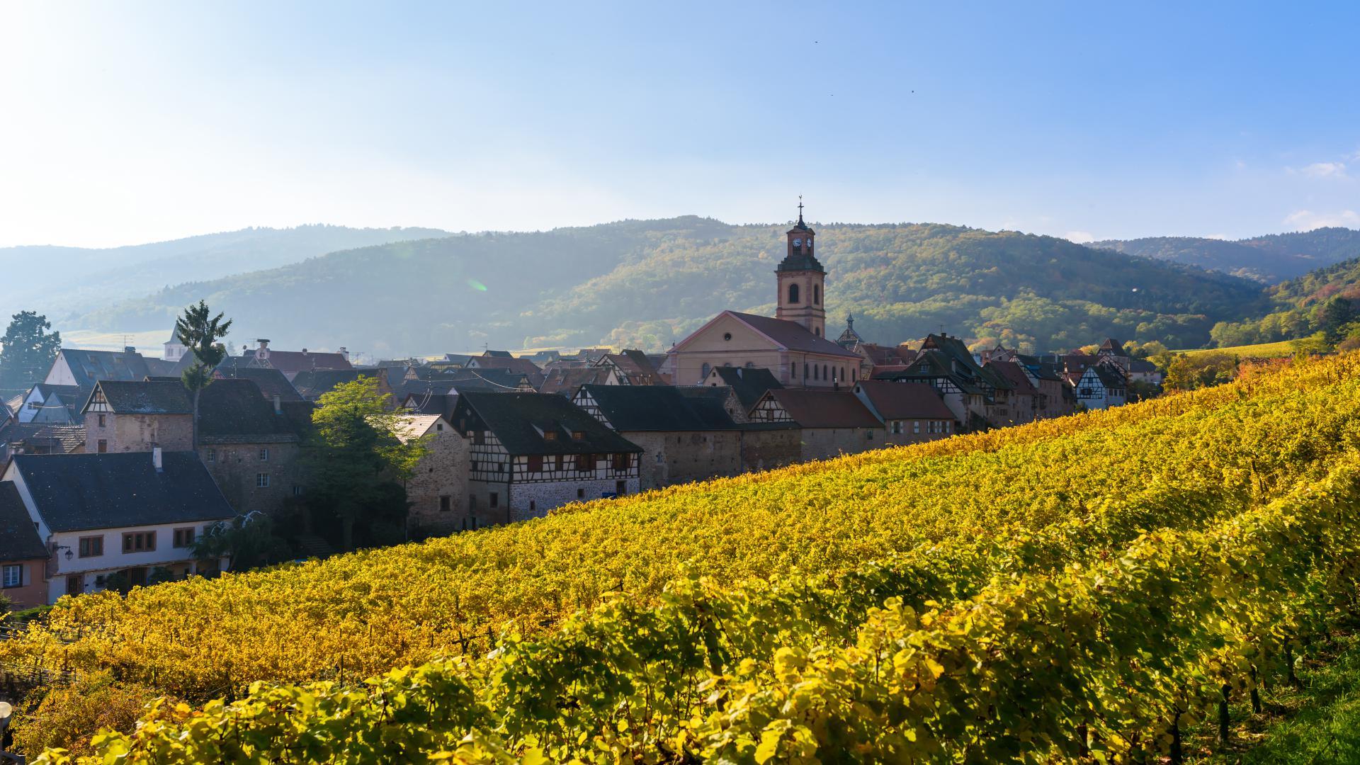 From Strasbourg to Mulhouse via Colmar and the wine route, the ...